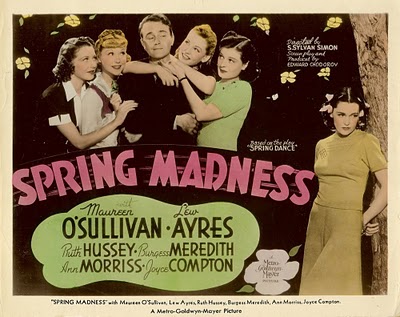 Picture of Spring Madness