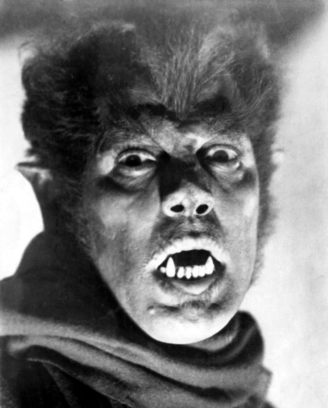 Picture of Werewolf of London