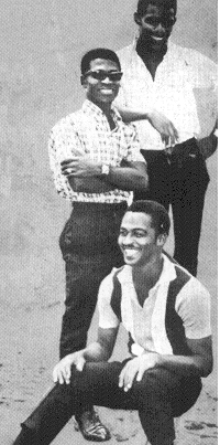 Picture of The Paragons