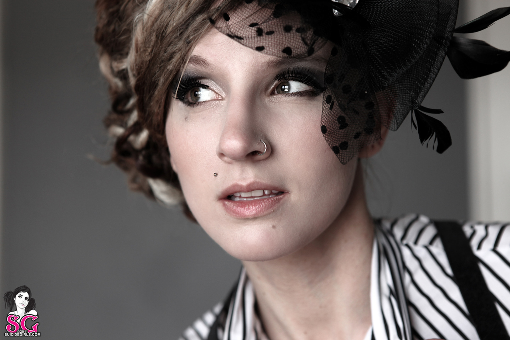 Picture of Damsel Suicide