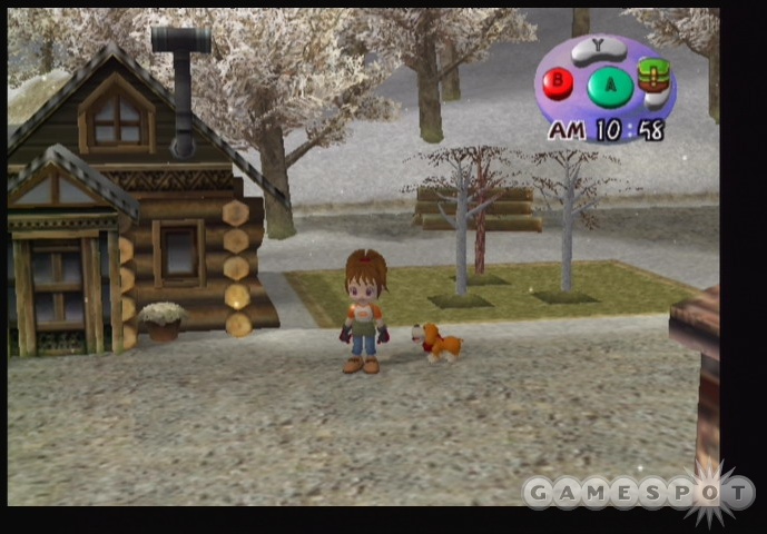 Picture of Harvest Moon: Another Wonderful Life