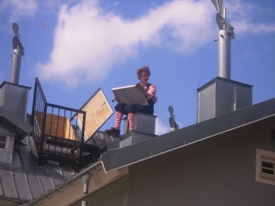 Karlsson on the Roof image