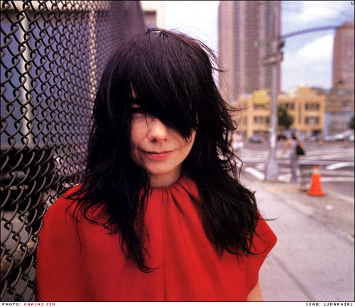 Picture of Björk