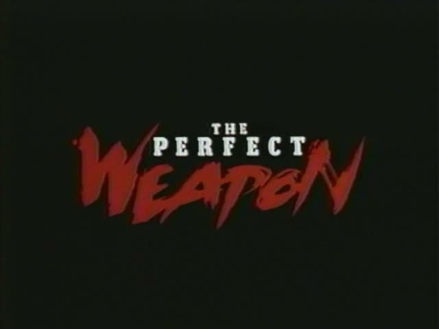 Picture of The Perfect Weapon