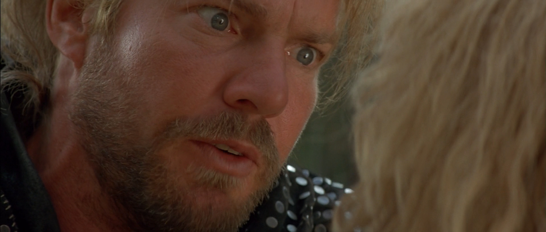 Picture of Dragonheart