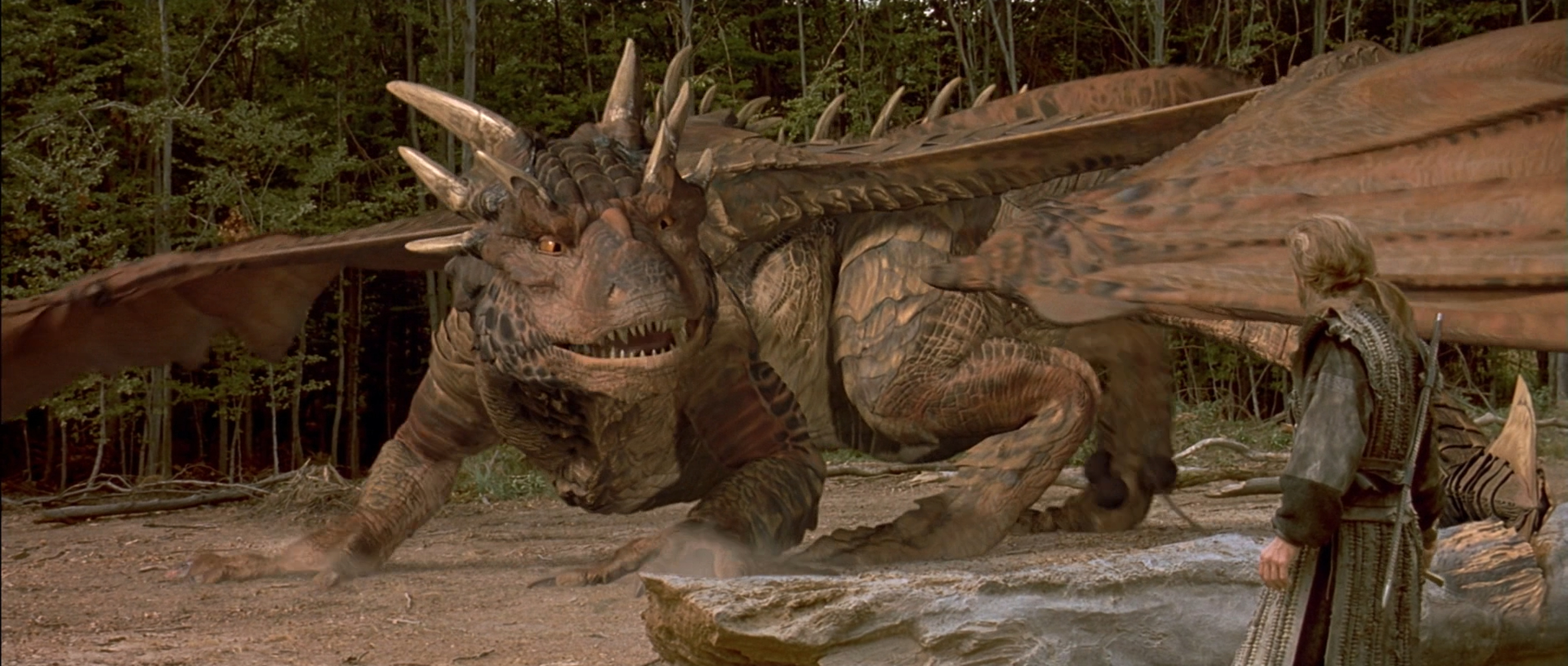 Picture of Dragonheart