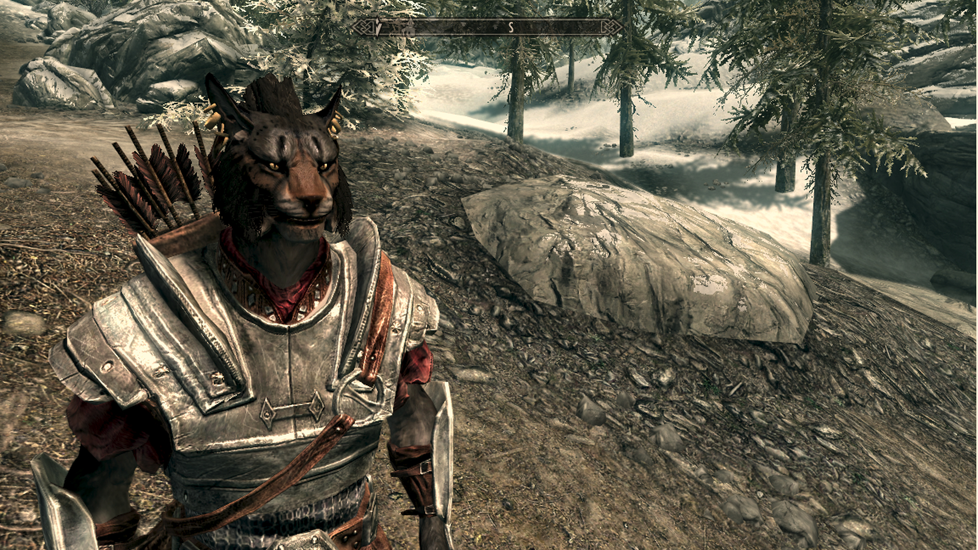 Picture of The Elder Scrolls V: Skyrim