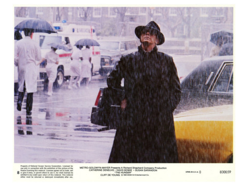 Picture of The Hunger (1983)