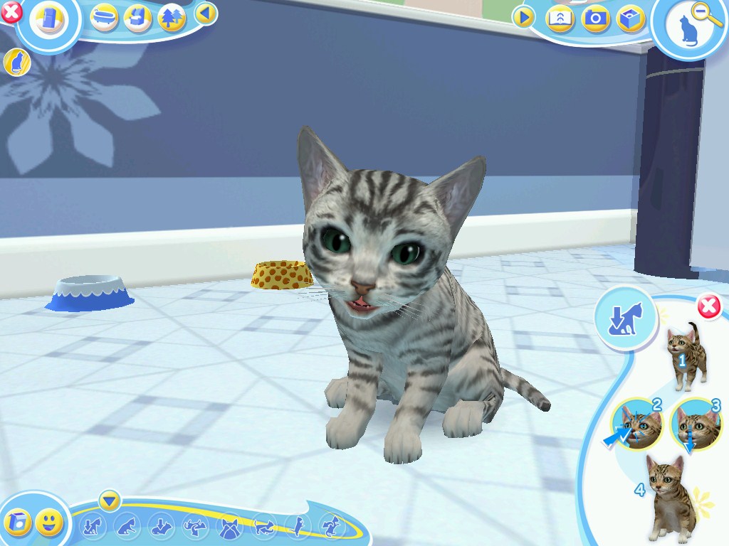 Image of Petz Catz 2