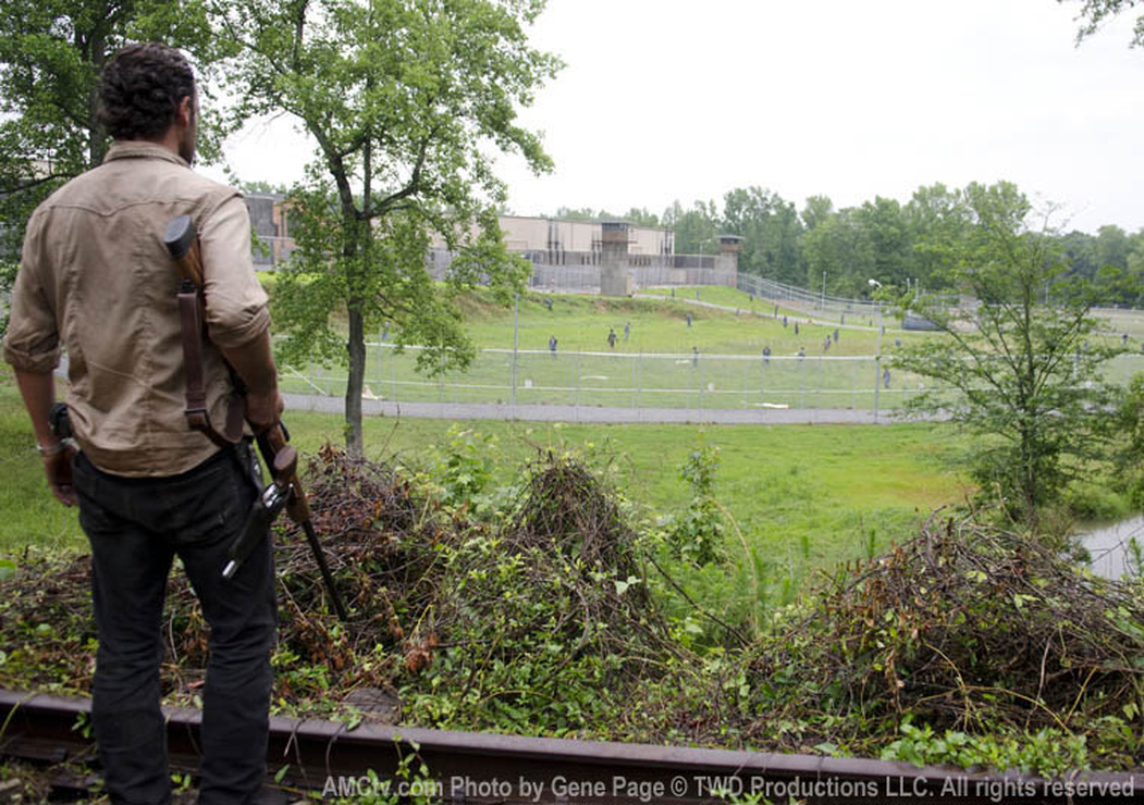 Picture of The Walking Dead