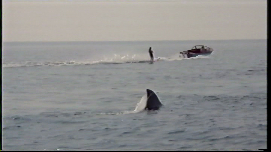 Picture of Jaws 2