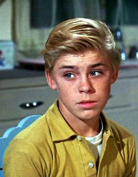 Picture of Luke Halpin