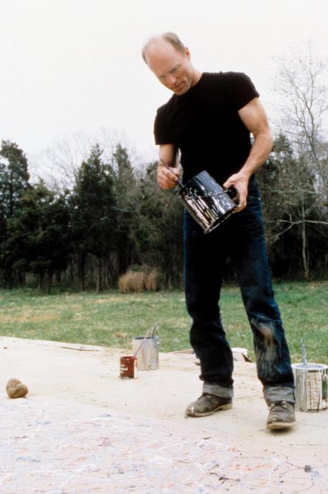 Picture of Pollock (2000)