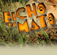 Picture of Bicho do Mato