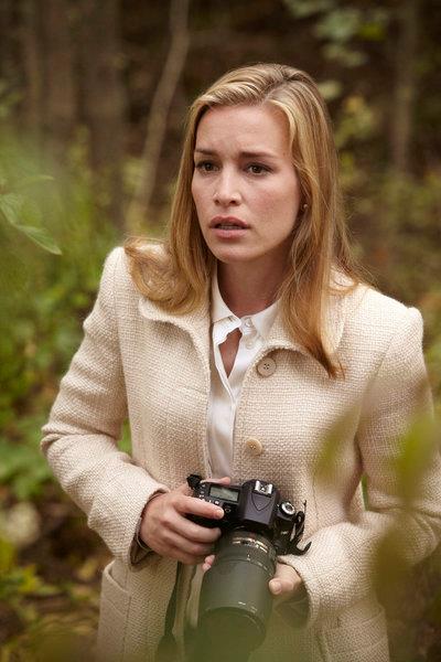 Piper Perabo image