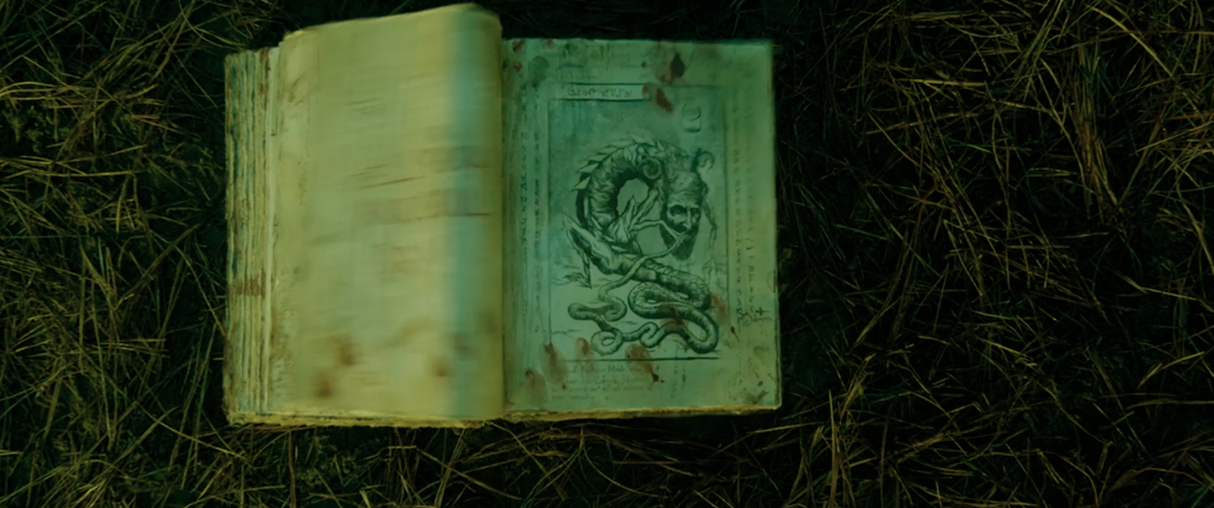 Picture of Evil Dead