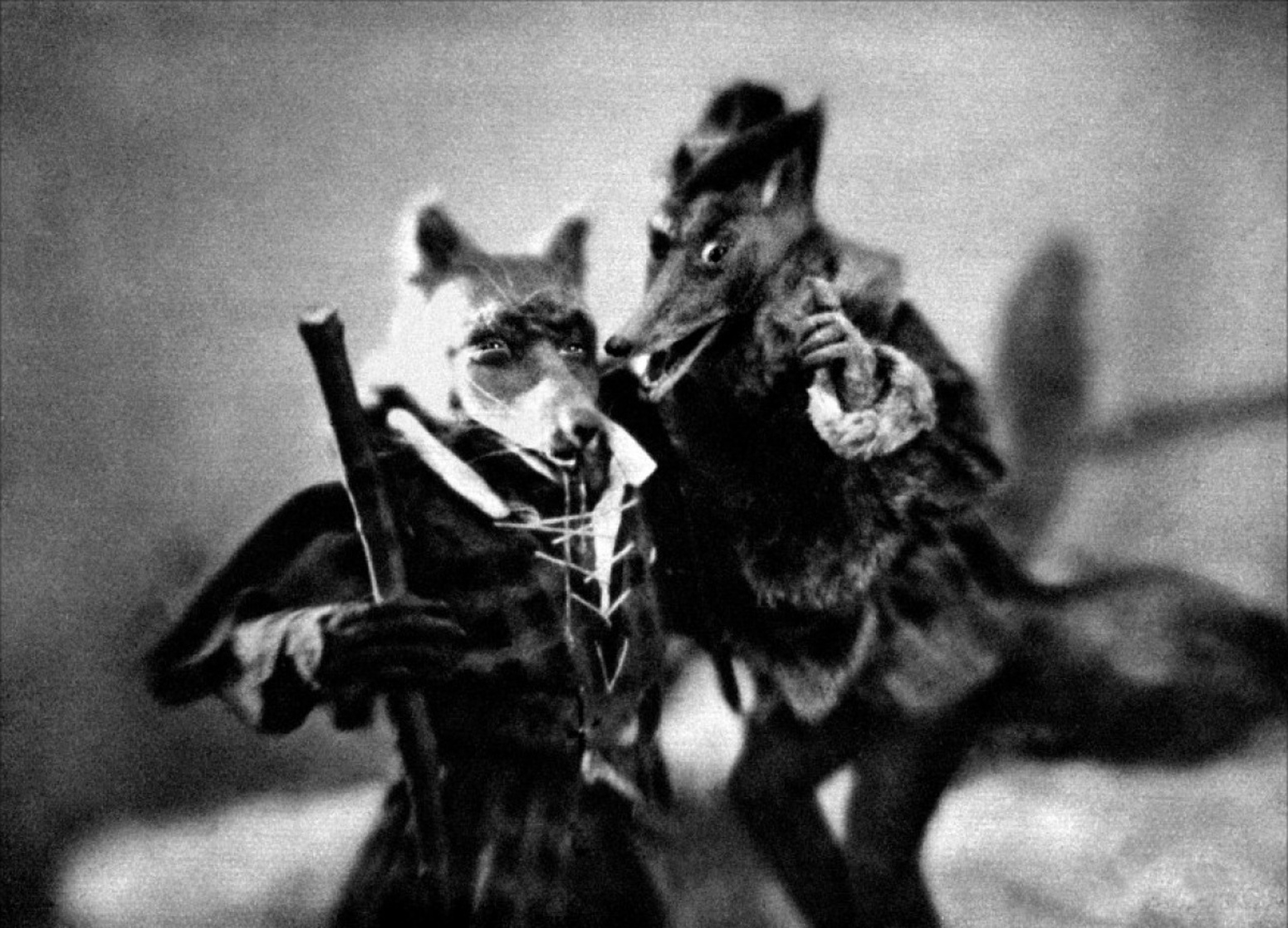Picture of The Story of the Fox (1930)