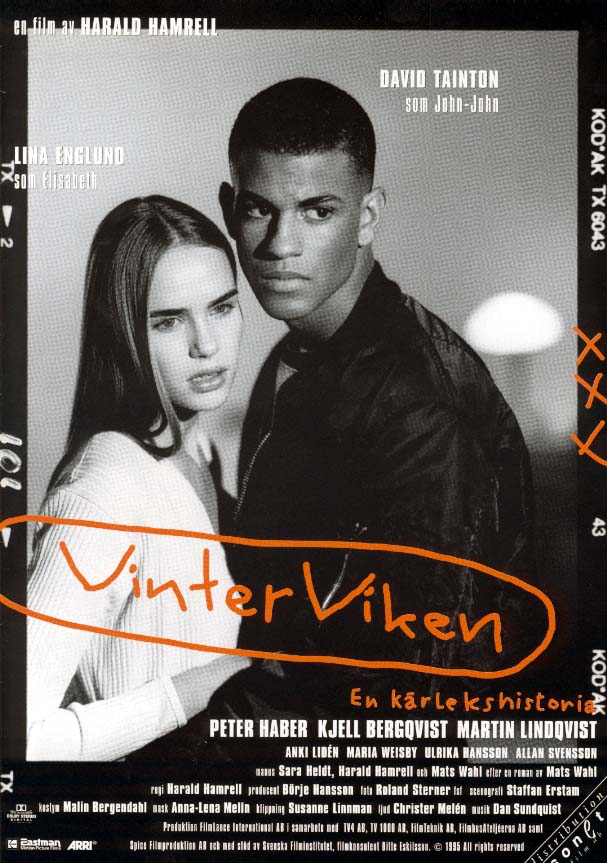 Picture of Vinterviken