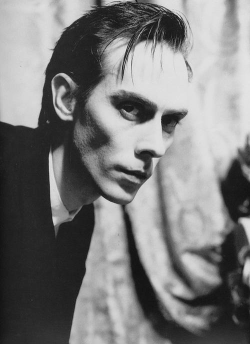 Picture of Peter Murphy