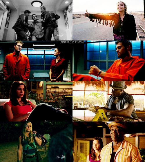 Picture of The Finder