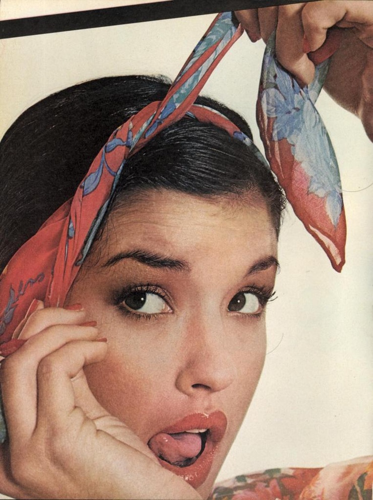 Picture of Janice Dickinson