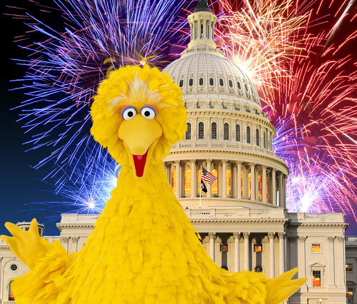 Picture of Big Bird