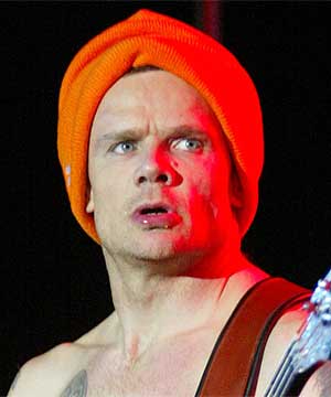 Picture of Flea