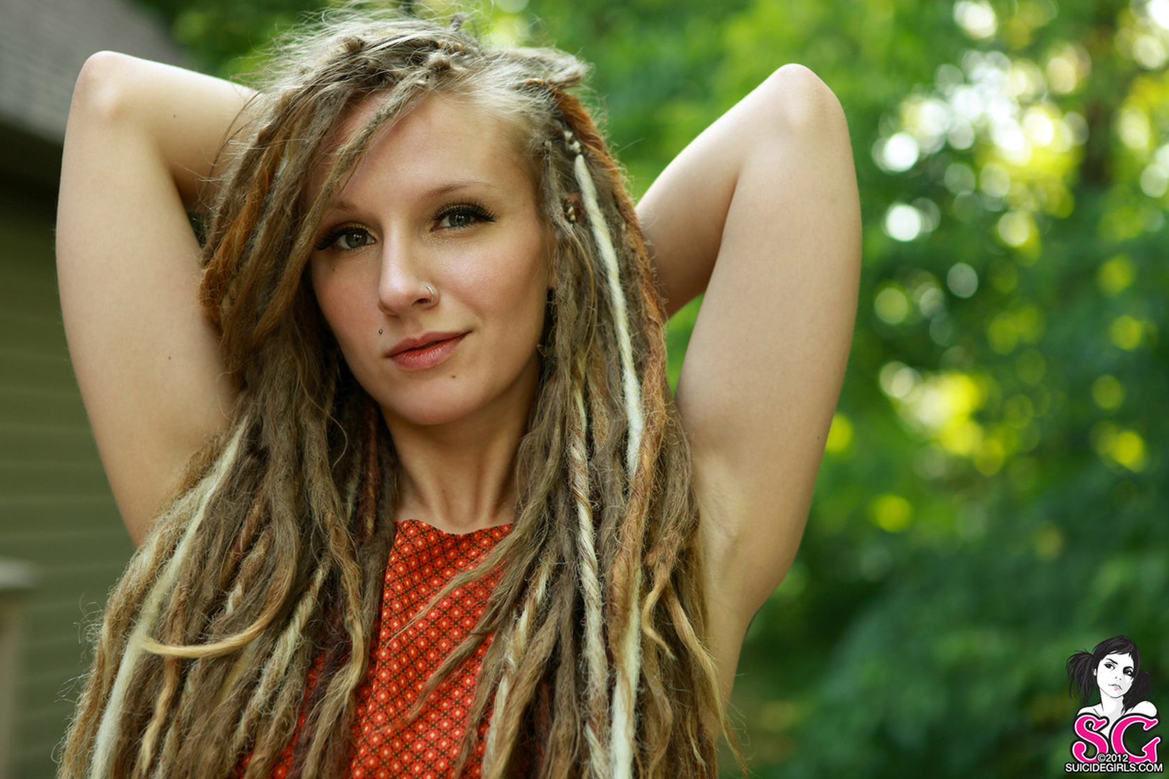 Picture of Damsel Suicide