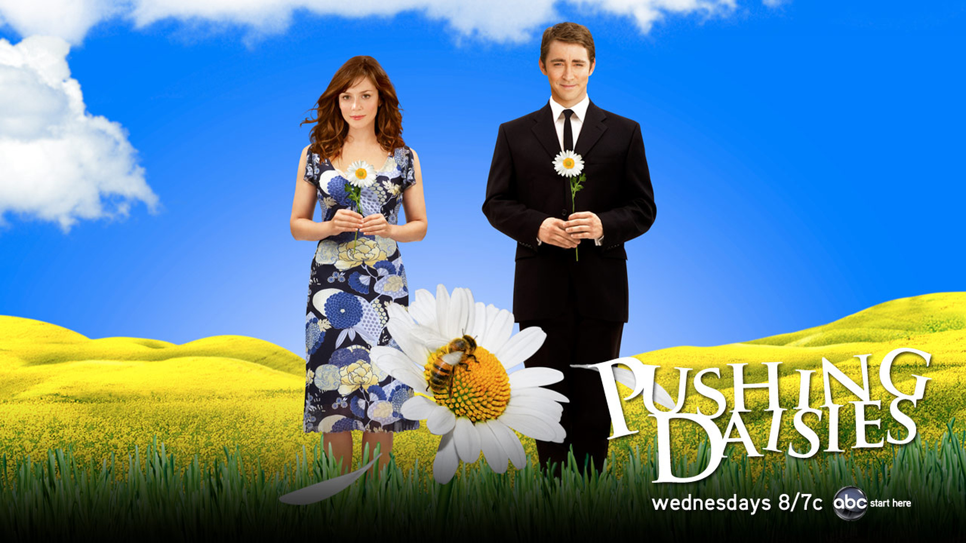 Image of Pushing Daisies