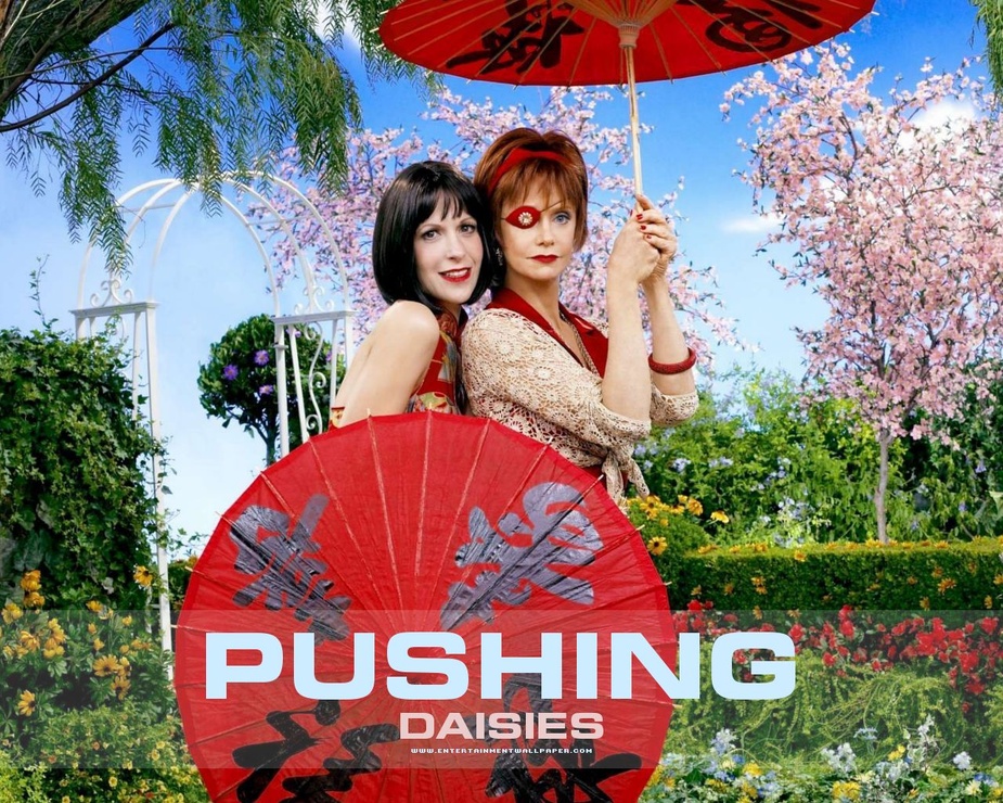 Picture of Pushing Daisies