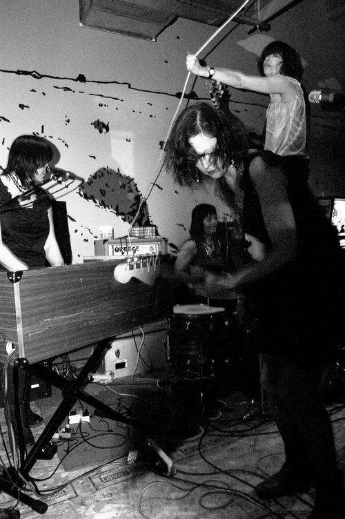 Picture of Wild Flag