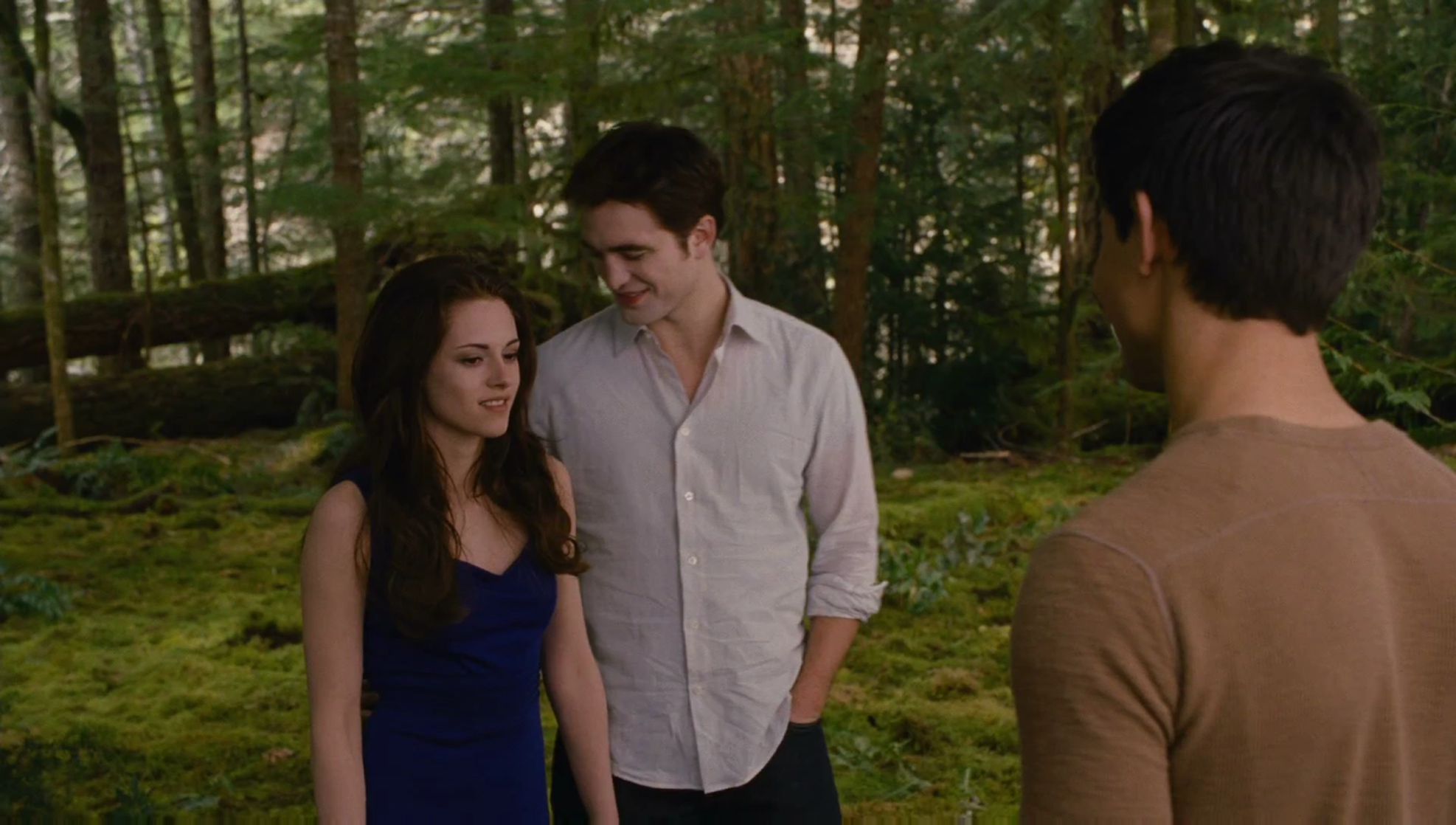 Picture of The Twilight Saga: Breaking Dawn: Part 2