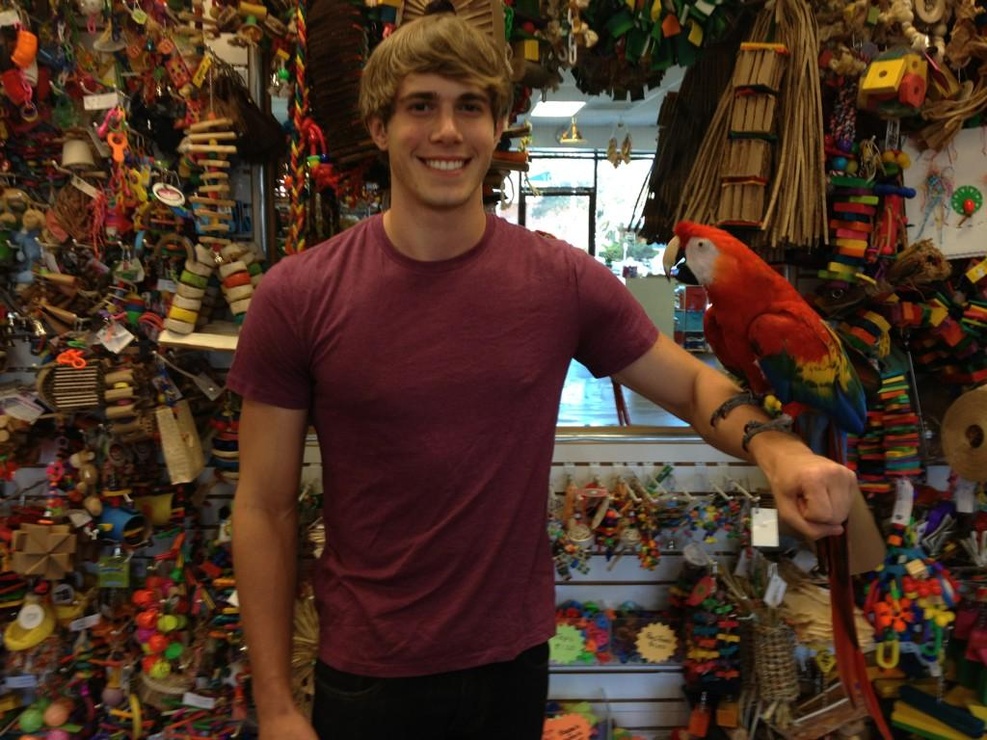 Blake Jenner picture