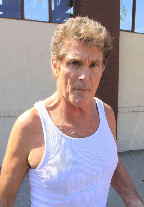 Picture of David Hasselhoff