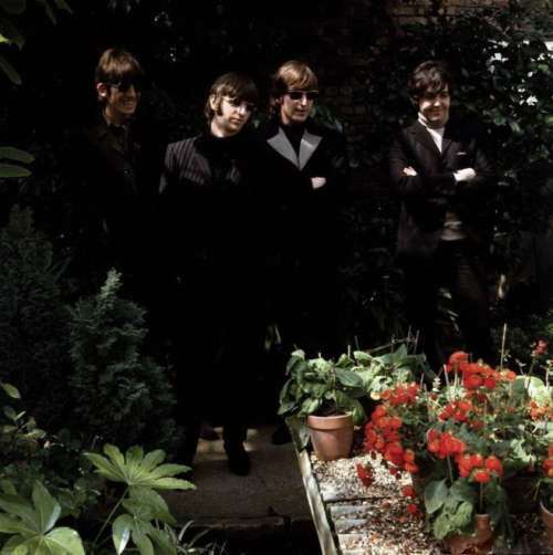 Picture of The Beatles