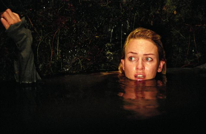 Picture of The Ring Two