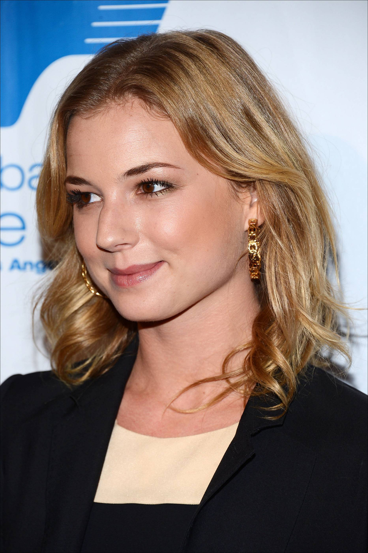 Picture of Emily VanCamp