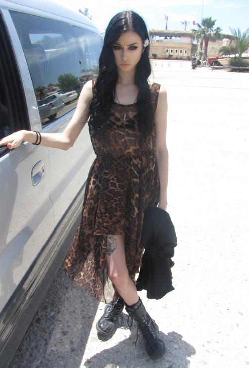 Felice Fawn picture
