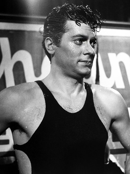Picture of Tony Curtis