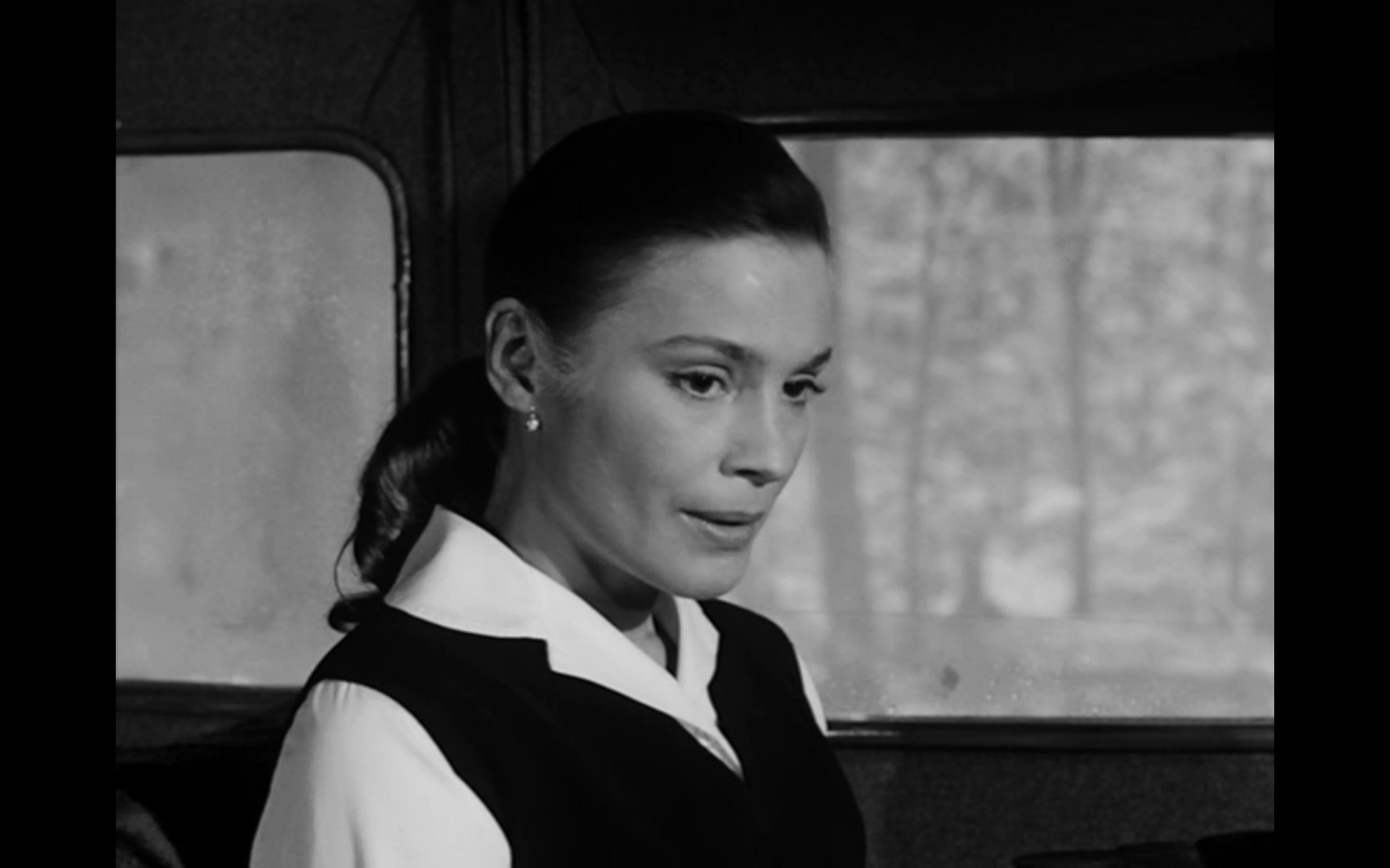 Wild Strawberries still