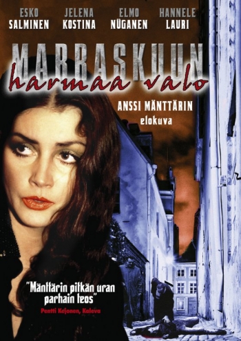 Picture of Marraskuun harmaa valo