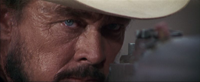 Picture of The Wild Bunch