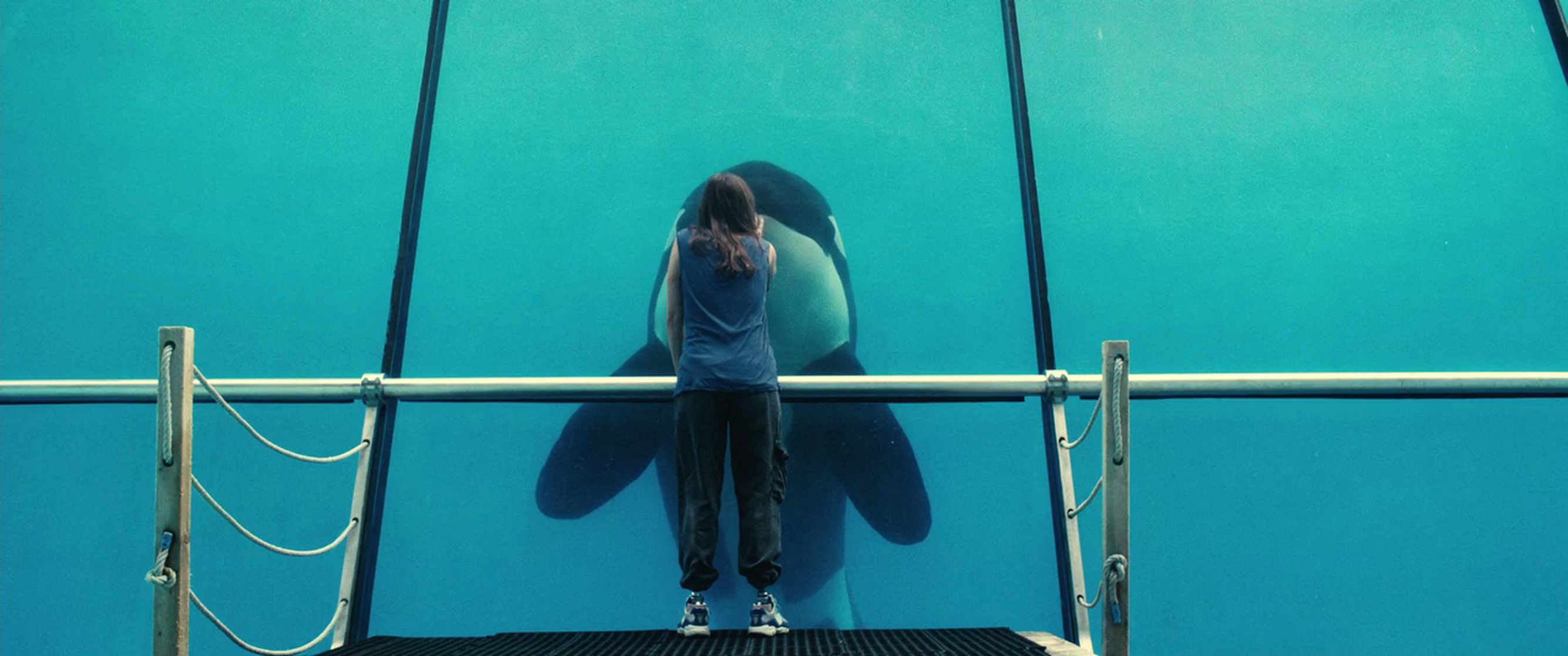 Picture of Rust and Bone