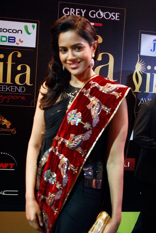 Picture of Sameera Reddy