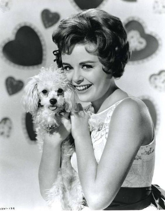Picture of Deborah Walley