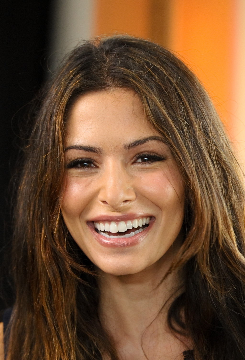 Picture of Sarah Shahi
