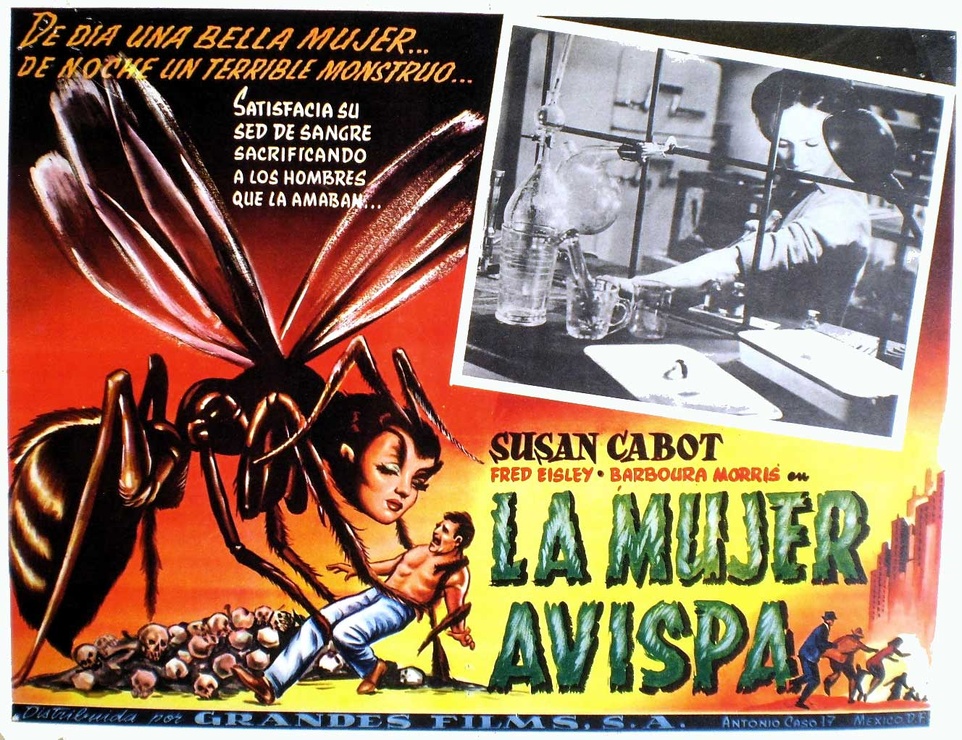 Picture of The Wasp Woman