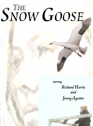 Picture of The Snow Goose
