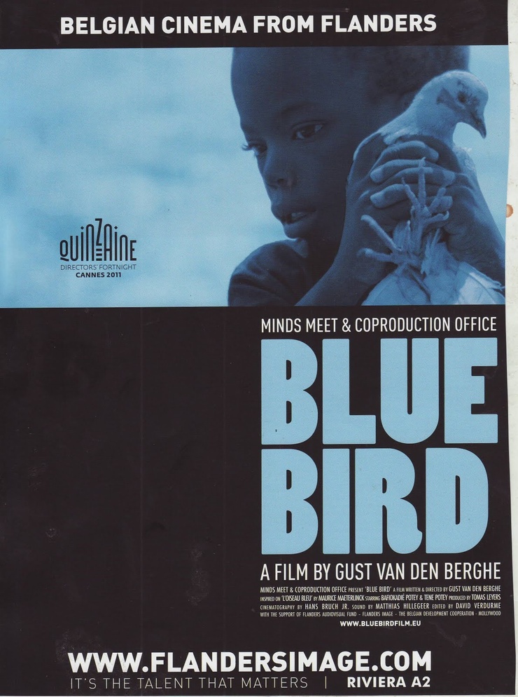 Picture of Blue Bird