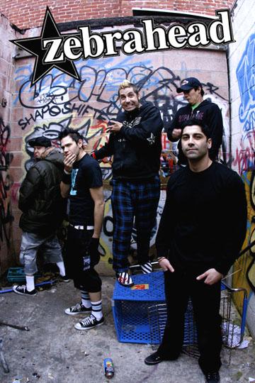 Zebrahead image